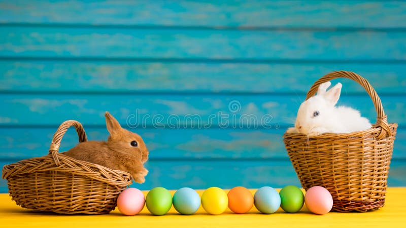 Easter Bunny and Basket of Eggs Stock Image - Image of cute, colorful ...
