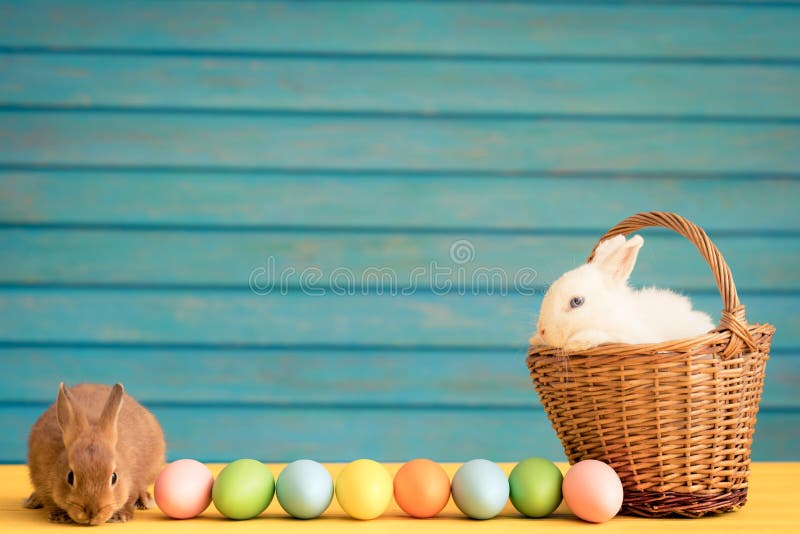 Easter Bunny and Basket of Eggs Stock Photo - Image of concept, basket ...