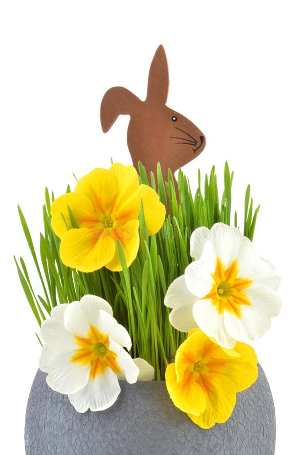 Easter Bunny and Spring Flower Stock Photo - Image of yellow, flower ...