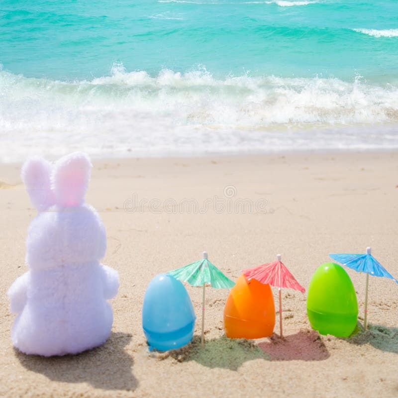 Easter Bunny and Color Eggs on the Beach - Instgram Format Stock Image ...
