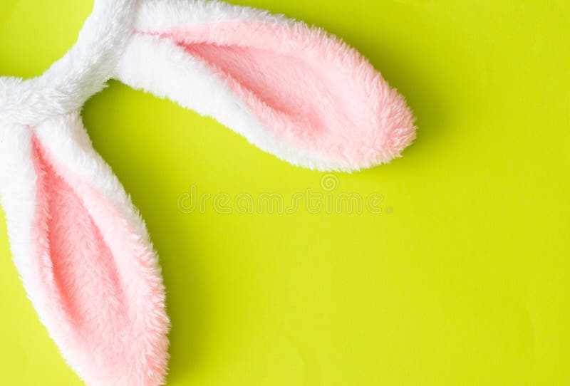 Easter Bunny Ears Isolated on Background. Stock Photo - Image of pink ...