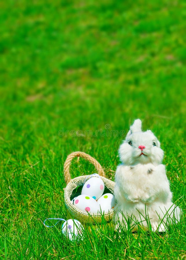 Easter Bunny and Eggs on Green Grass Stock Photo - Image of happy ...
