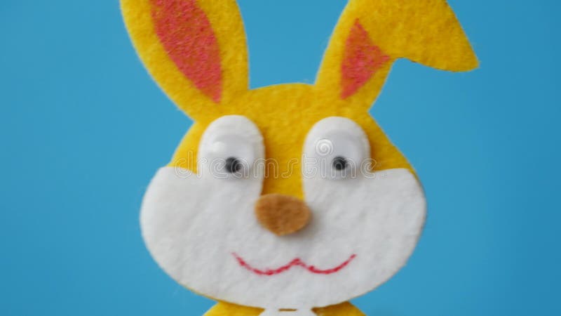 Easter Bunny Eye with Surprised Look Stock Footage - Video of habits ...