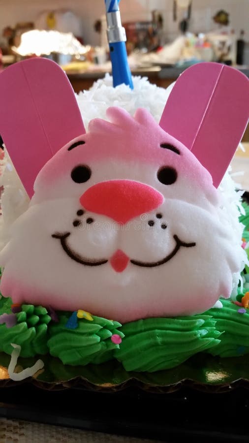 Easter bunny face stock photo. Image of cake, bunny, face - 52528986