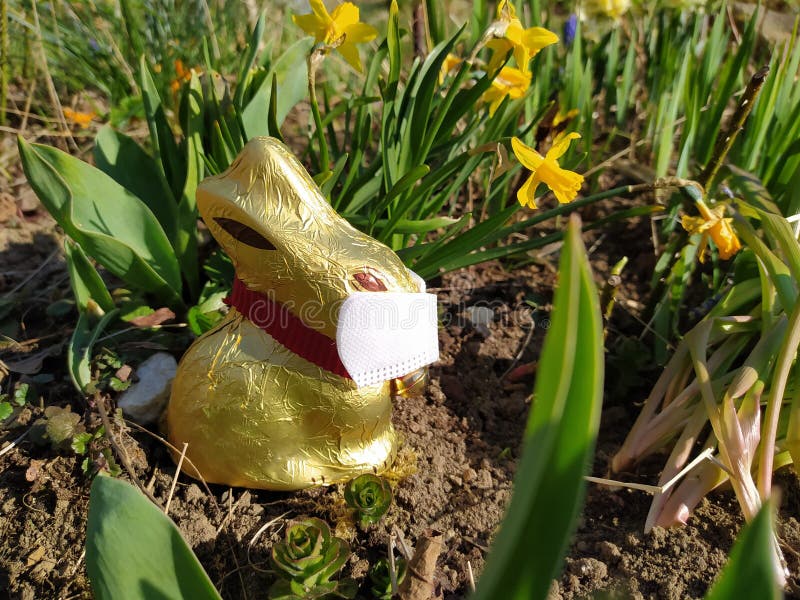 Easter Bunny with Face Mask. Easter Bunny Wearing a Face Mask ...