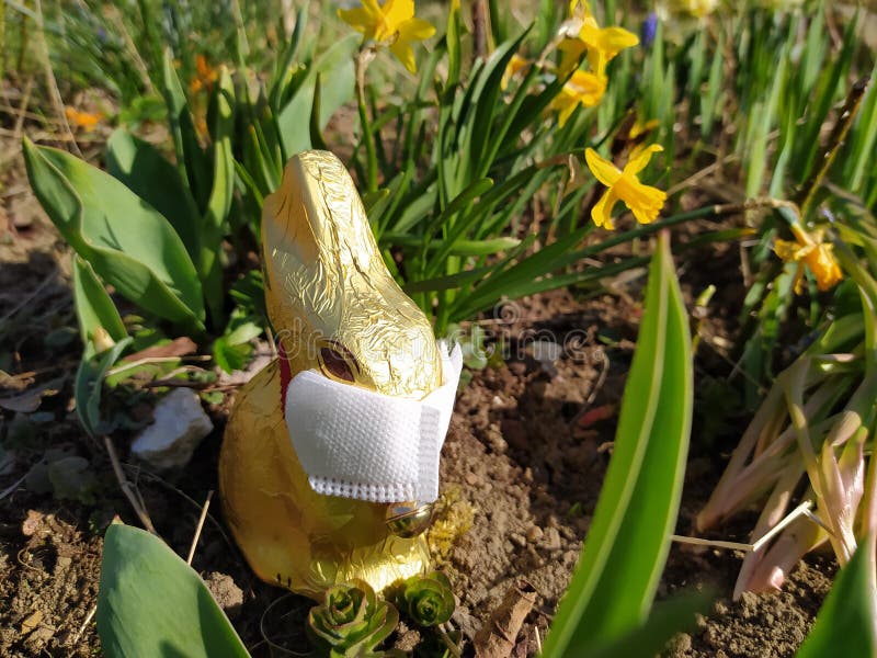 Easter Bunny with Face Mask. Easter Bunny Wearing a Face Mask ...