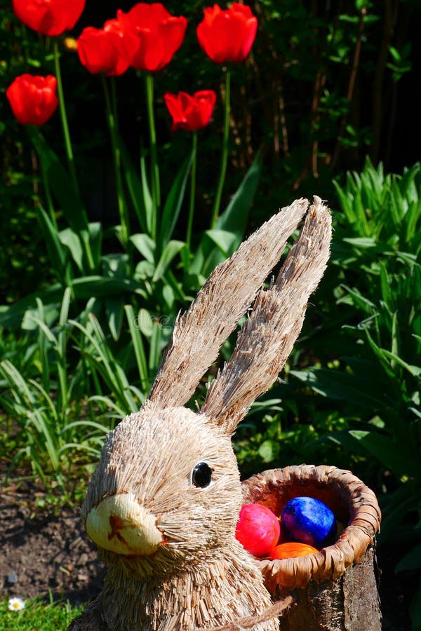 Easter bunny stock photo. Image of meadow, animal, osterhasenn - 66988016