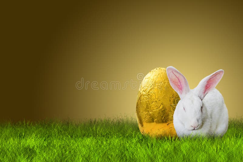 Easter Bunny and Golden Egg Stock Image - Image of rabbit, field: 70135577