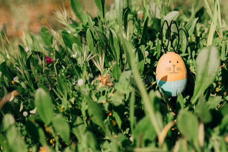 Easter bunny in the grass stock image. Image of april - 210726805