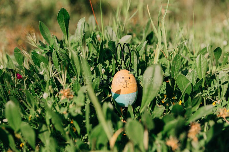 Easter bunny in the grass. stock photo. Image of beautiful - 210727472