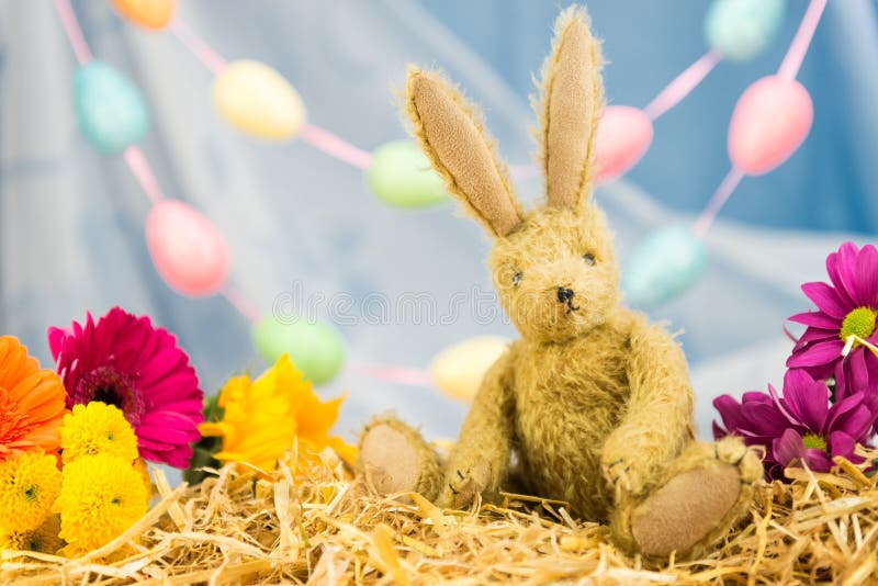 Easter Bunny Rabbit Fresh Flowers Egg Garland Looking Forward Stock ...