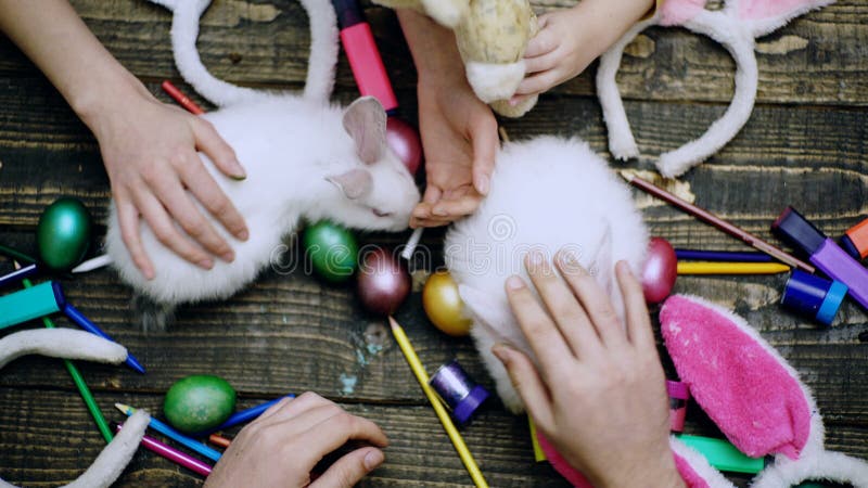 Easter Bunny Rabbit Human Hand on Wooden Table Top. Bunny Ears, Easter ...