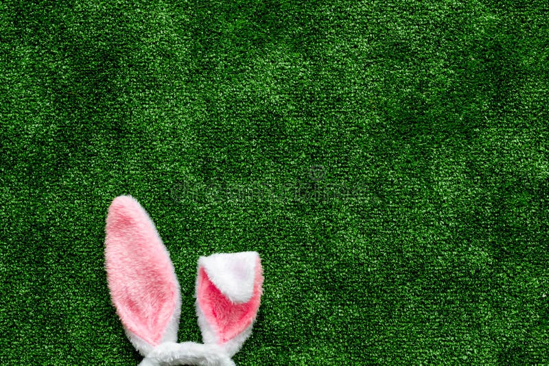 Easter Bunny`s Ears on Green Grass Background Top-down Copy Space Stock ...