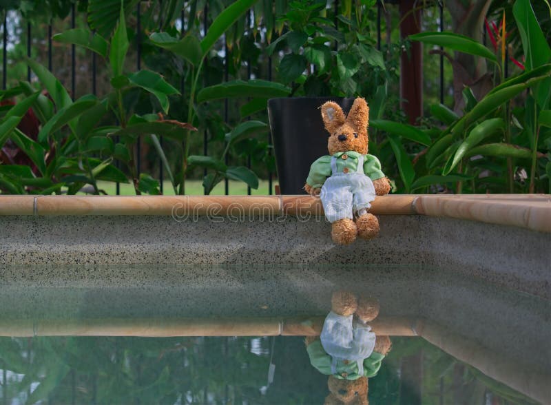 Easter Bunny is Sitting by the Swimming Pool Stock Image - Image of ...