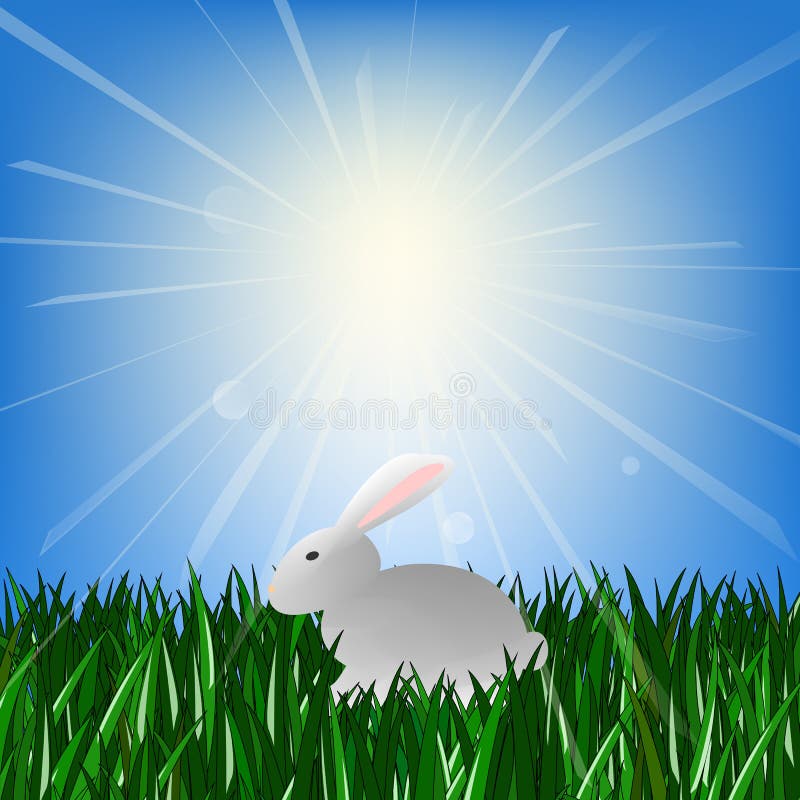 Easter Bunny Sitting on Green Grass in the Rays of the Bright Sun Stock ...