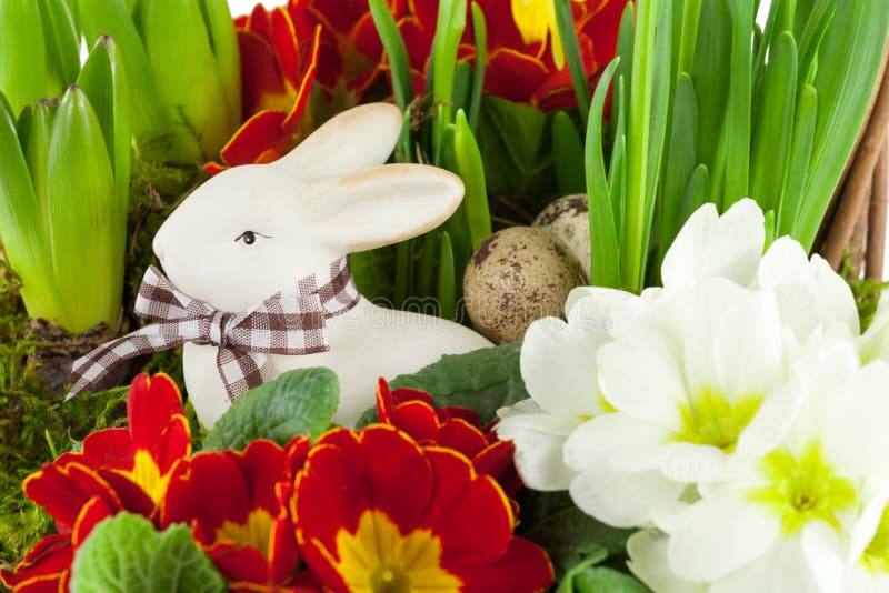 Easter Bunny with Spring Flowers Stock Photo - Image of spring ...