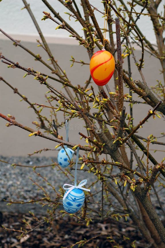 Easter bush stock photo. Image of spring, bush, decoration - 30945514