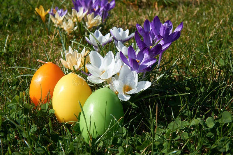 Easter Candle in Egg Form between Spring Flowers Stock Photo - Image of ...