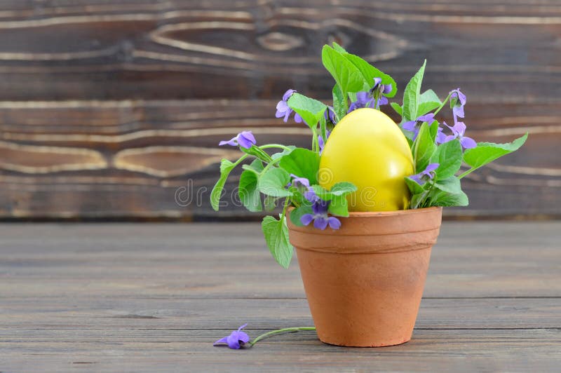 Easter Card with Easter Egg and Violet Flowers Stock Image - Image of ...