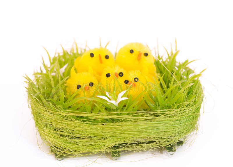 Easter chick stock photo. Image of holiday, chick, white - 13629578
