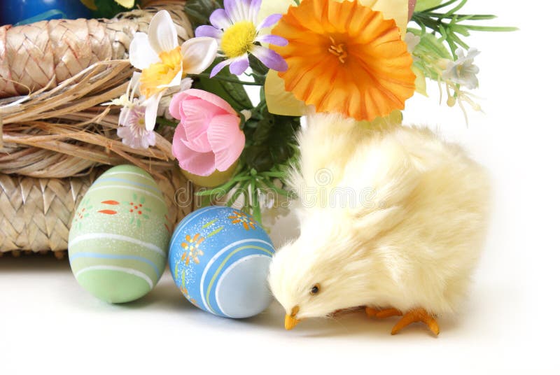 Easter Chick stock image. Image of green, baby, april - 17785227