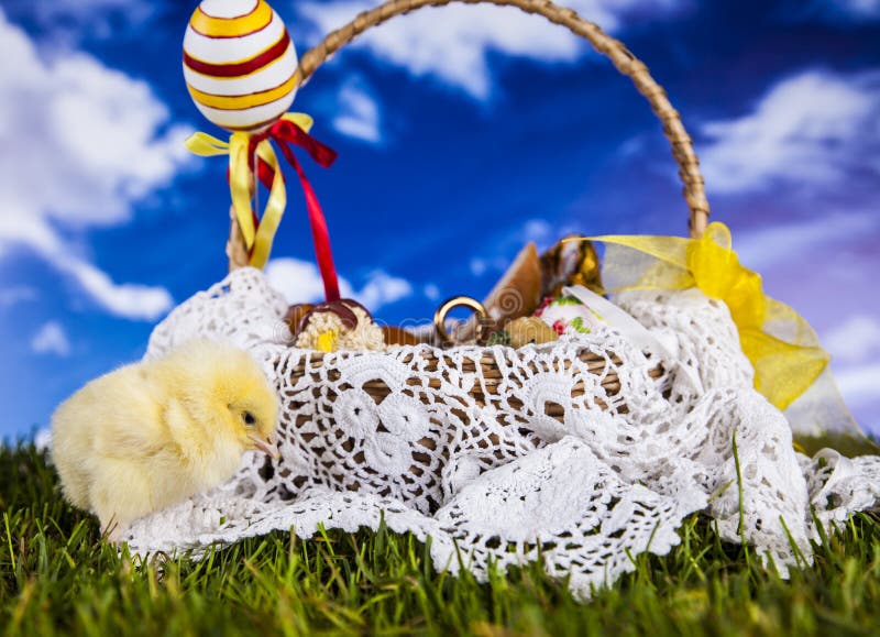 Easter, chick stock image. Image of flowers, dinner, chicken - 36537123