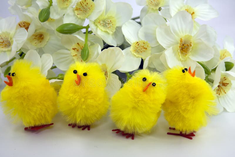 Easter Chick- Eggs and Chicks Symbolize New Life. Stock Photo - Image ...