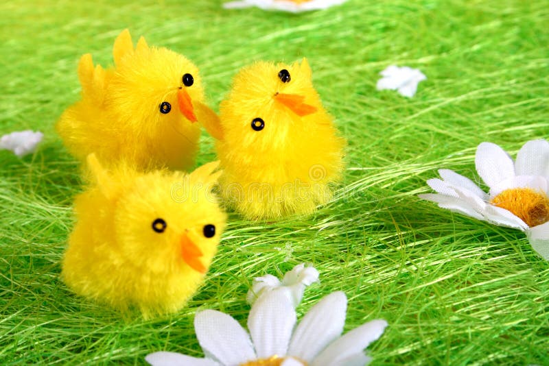 Easter chicks with eggs stock photo. Image of decorative - 12967752