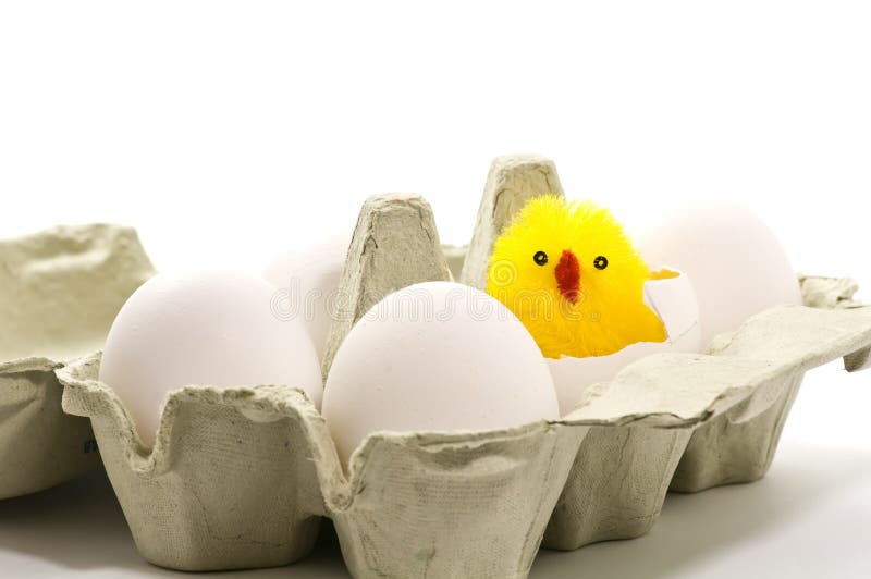 Easter chicken stock image. Image of white, cute, food - 4324393