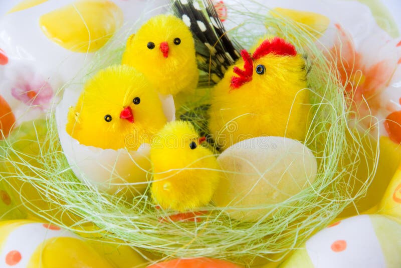 Easter chickens stock image. Image of eggs, easter, birds - 6501267