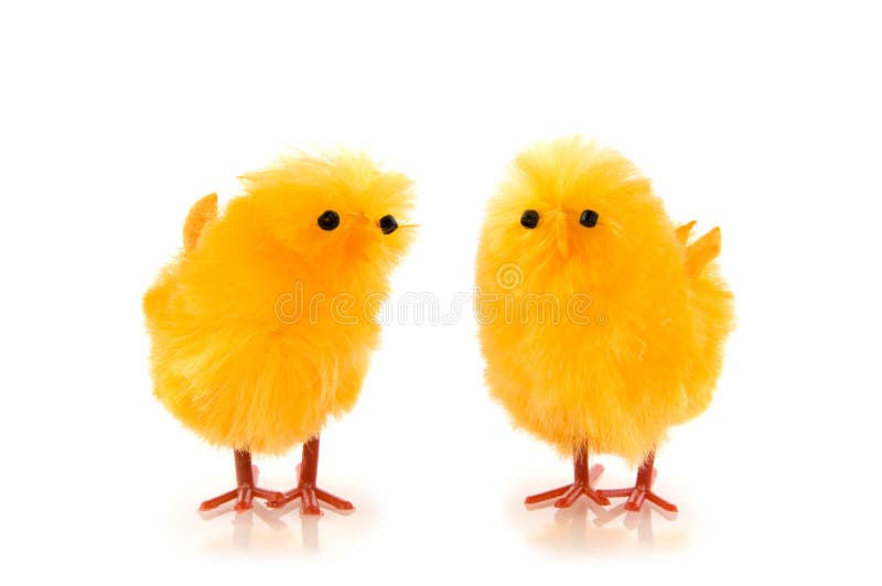 Easter chickens stock photo. Image of spring, easter, yellow - 7522948