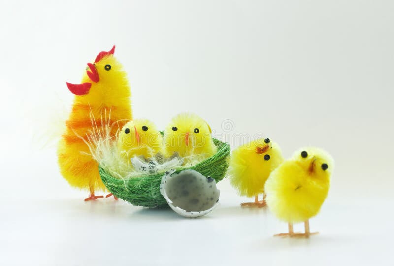 Easter chickens stock image. Image of innocent, isolated - 8841811
