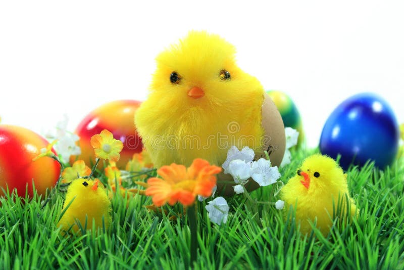Easter Chicks Picture. Image: 13217193