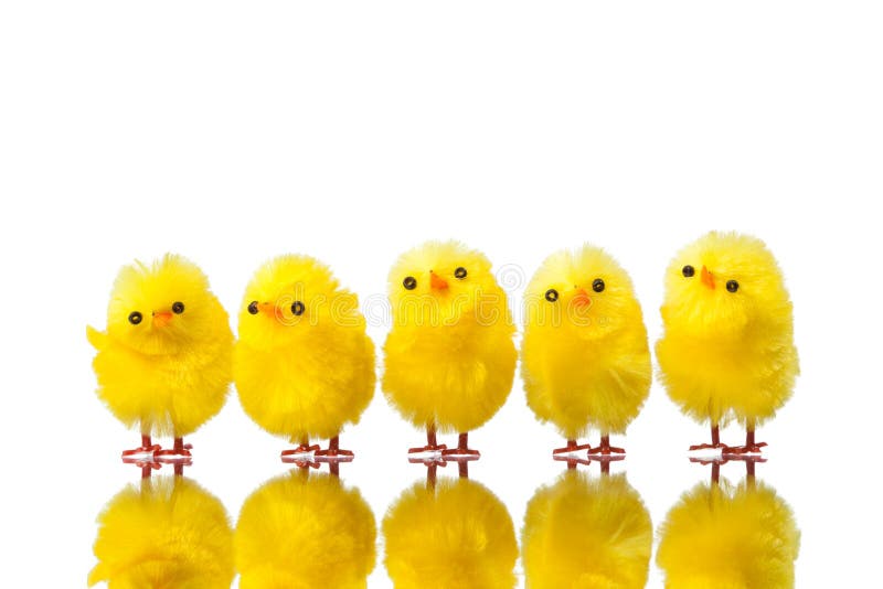 Easter Chicks in a Row stock photo. Image of large, event - 8756260