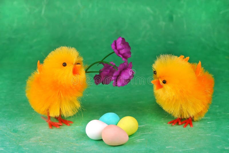 Easter Chicks Picture. Image: 4441647