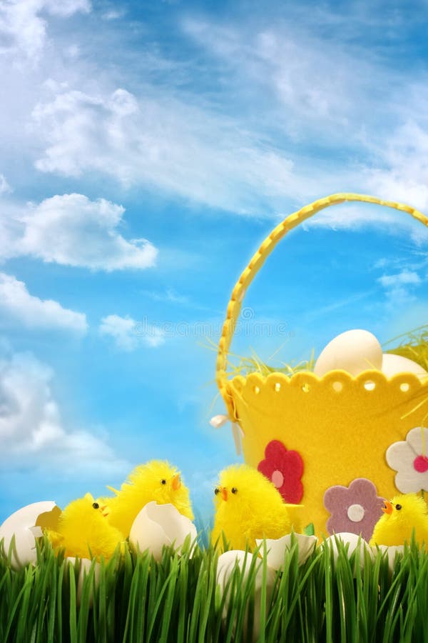 Easter chicks in the grass stock image. Image of flower - 4328551