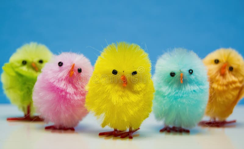 Colorful easter chicks stock photo. Image of celebration - 52474686