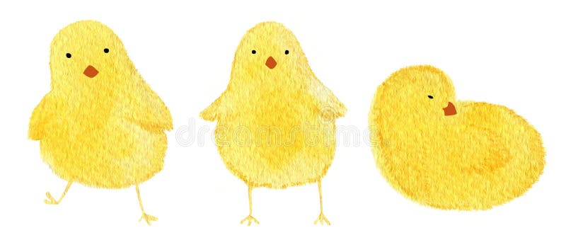 Easter Chicks in Different Poses in Yellow for Cards Stock Photo ...