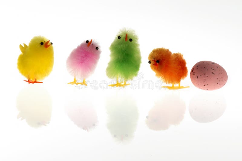 Easter Chicks in a Row stock photo. Image of large, event - 8756260