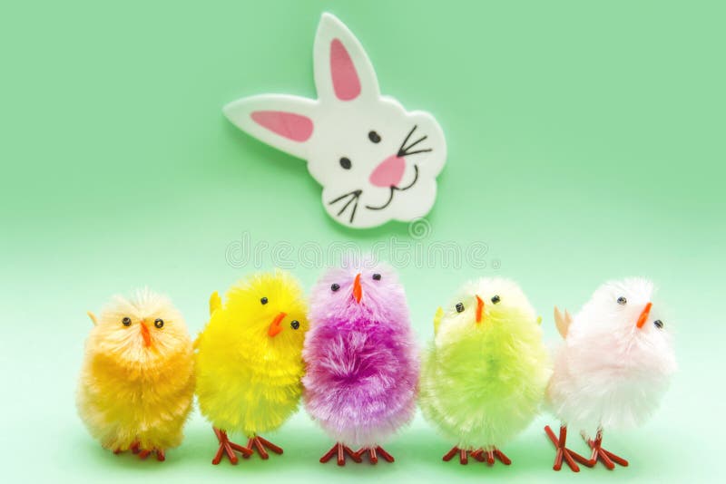 Easter Chicks stock image. Image of children, spring, green - 644859