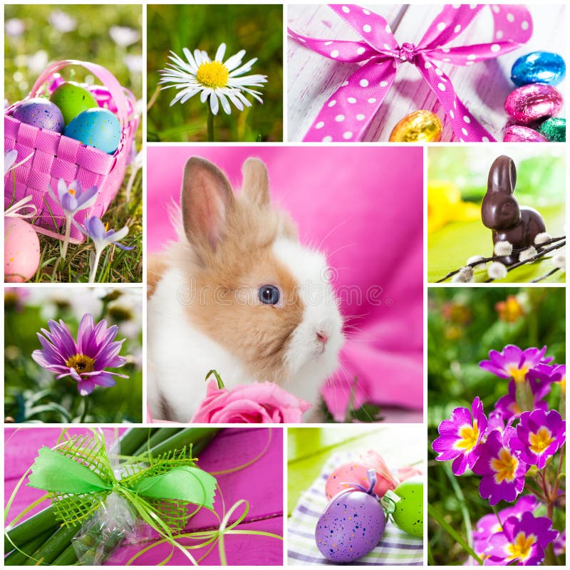 Easter collage stock photo. Image of scripture, cutter - 37859844