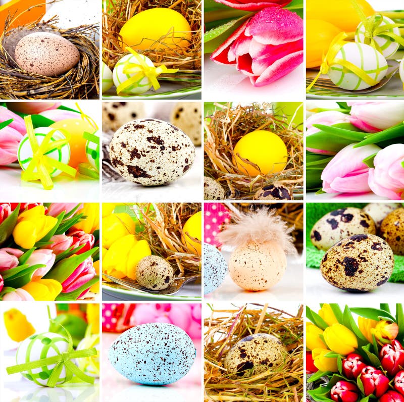 Easter collage stock photo. Image of field, present, garden - 42080568