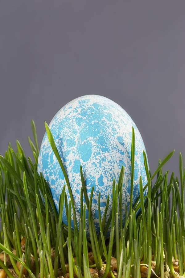 Easter colored eggs stock image. Image of catholicism - 69668767