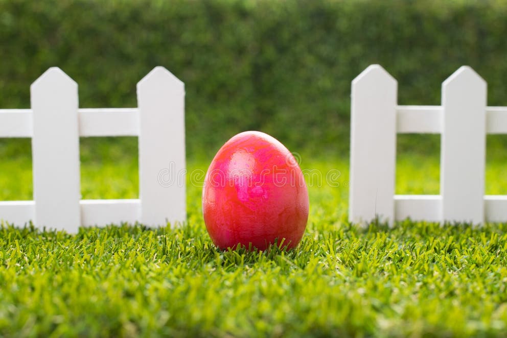 Easter is Coming Red Easter Egg Goes through the Gate White Fence Stock ...