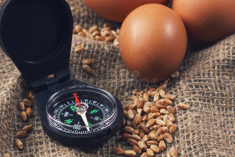 Easter stock image. Image of white, happy, bright, celebration - 87363711