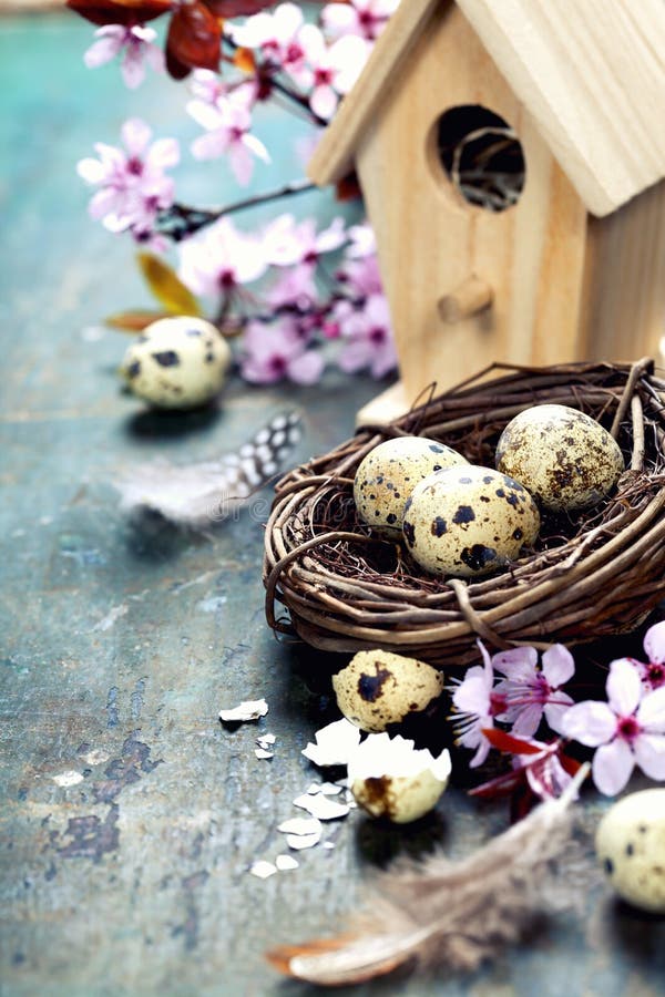 Easter Decor with Bird House and Spring Flowers Stock Image - Image of ...