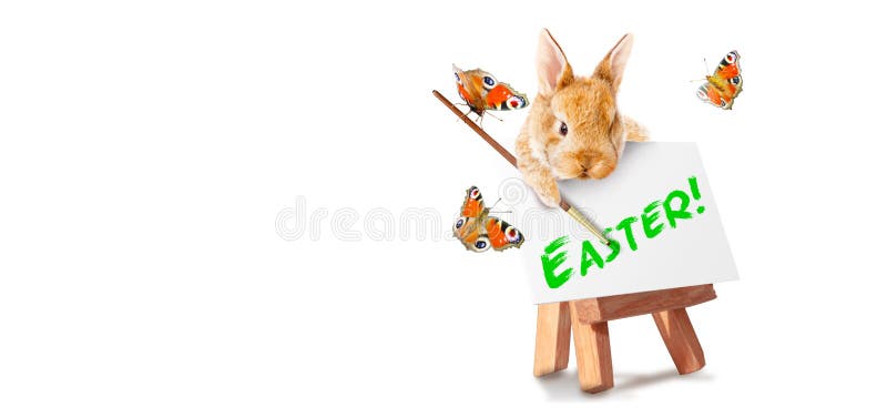 Funny Easter Bunny. Happy Easter Holiday Concept Stock Image - Image of ...