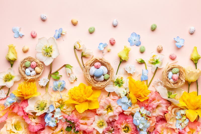 Easter Composition with Spring Flowers and Easter Eggs in Nest on ...