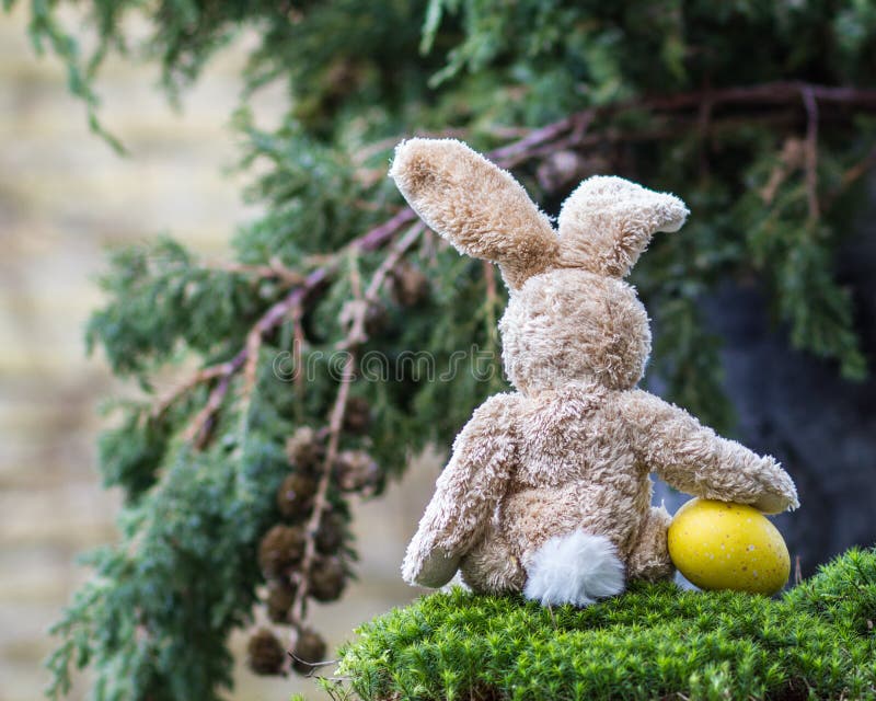 Easter Concept. Lonely Teddy Rabbit with a Yellow Egg Sitting Ba Stock ...