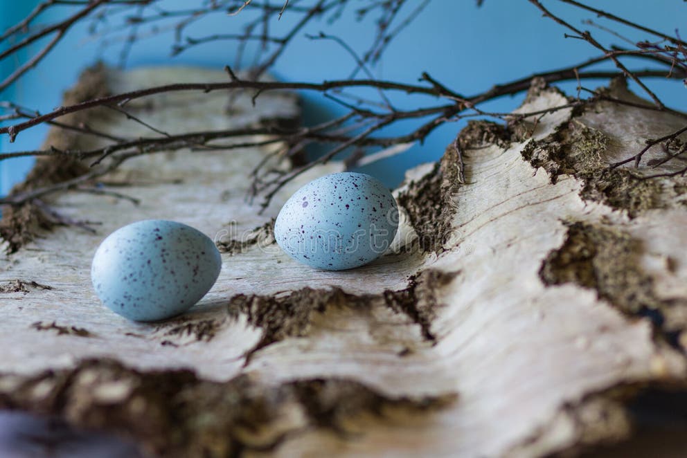 Easter Concept. Two Decorative, Blue Spotted Eggs with on the B Stock ...
